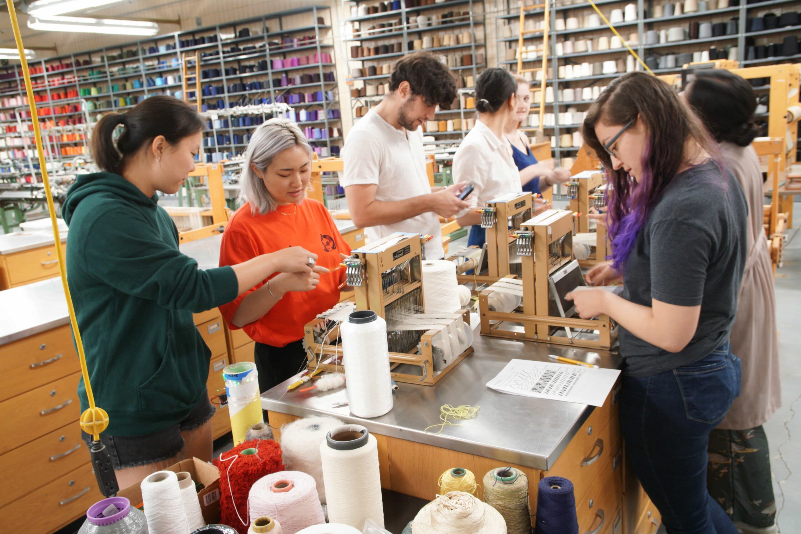 Advancing Interdisciplinary Education at the Undergraduate Level: The ...